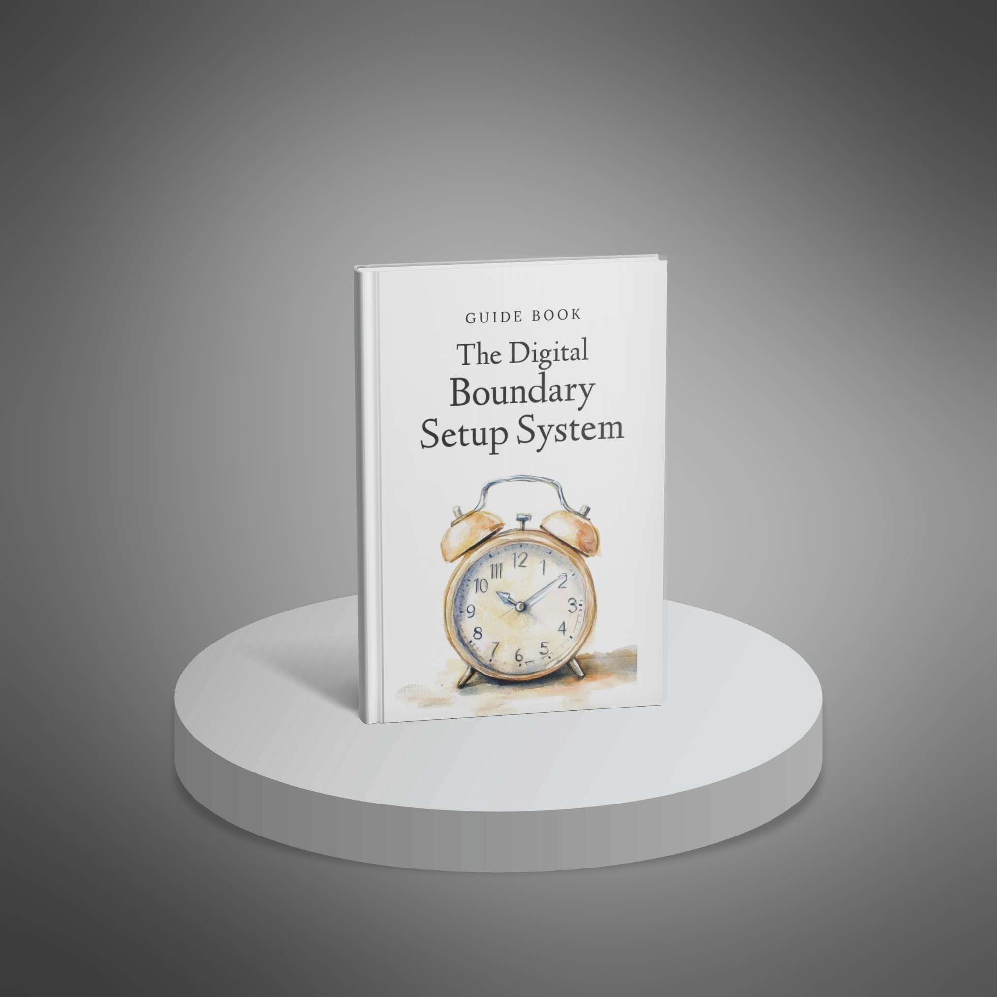 The Digital Boundary Setup System – SuitYou